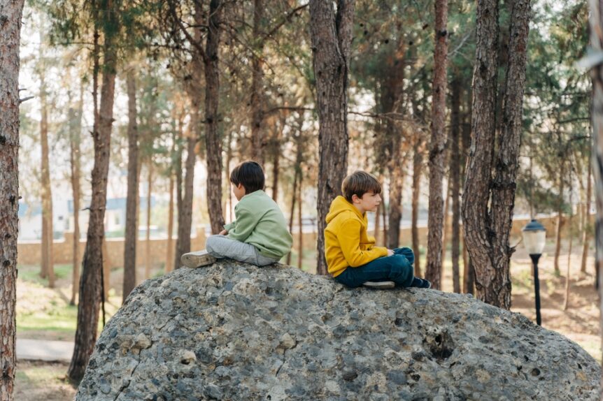 Behaviour challenges in children: understanding their needs